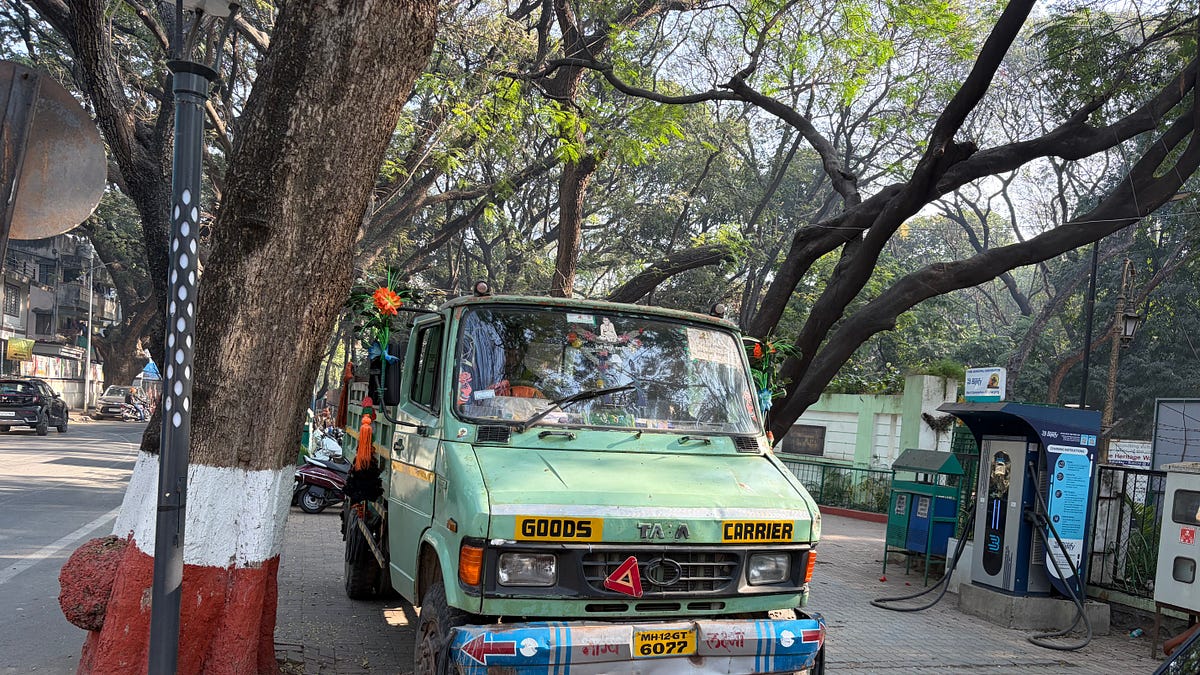 A leaf, a fruit, a flower, or water.