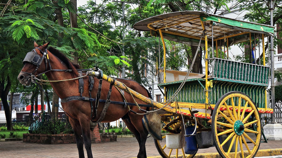 The Filipino Kalesa - by Datu Kidlat - Discover Philippines