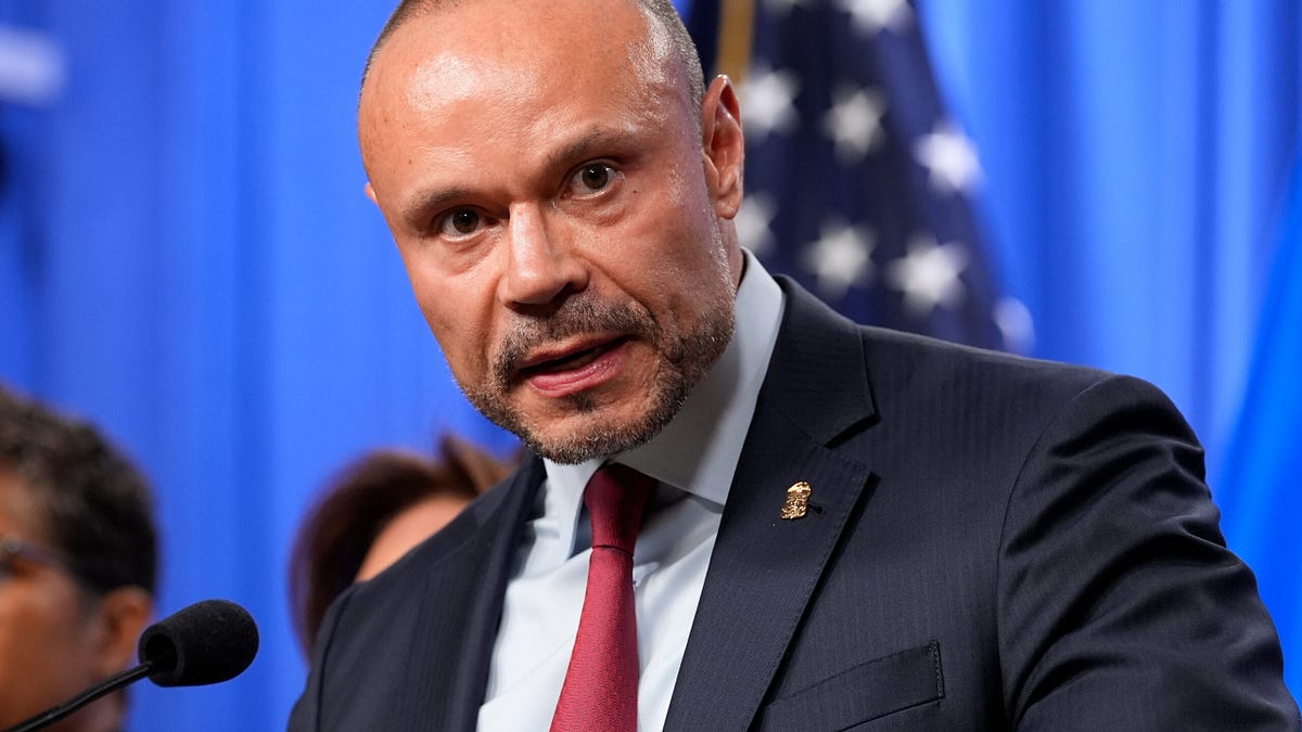 An Adult Is Back in the Room—Bongino Returns