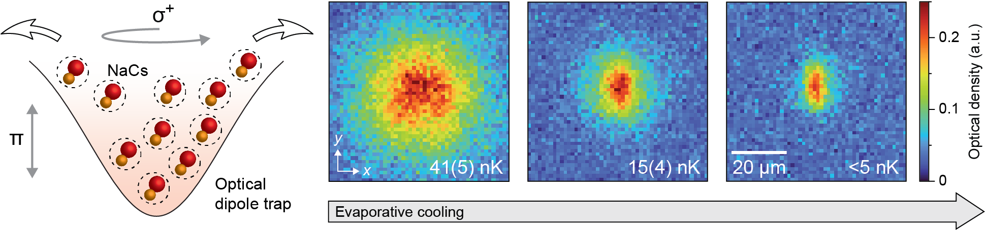 SPS (11/13): Creating and Exploring Bose-Einstein Condensates of ...