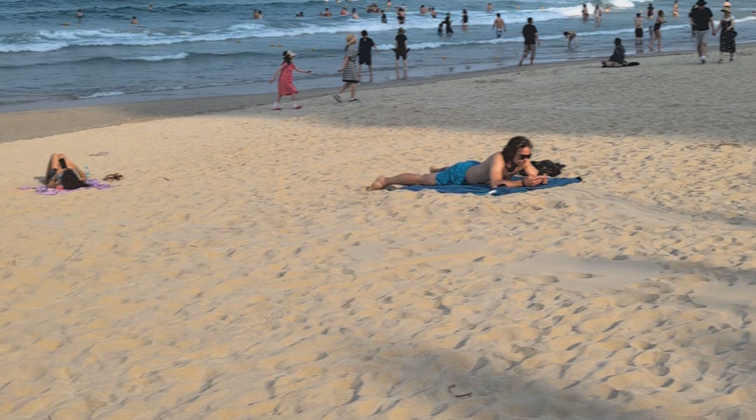 Beach Day (every day!) - by David Haskell