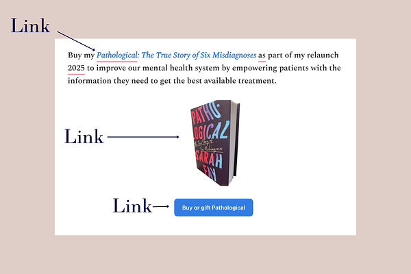 Substack Writers at Work with Sarah Fay | Sarah Fay, PhD | Substack