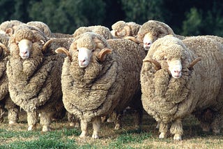 Talking Climate | Katharine Hayhoe | Substack