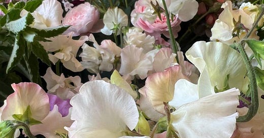 Common Farm Flowers by Georgie Newbery | Substack