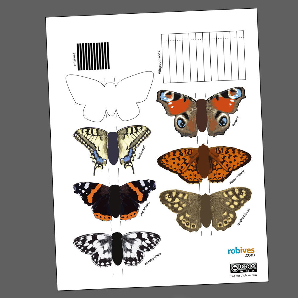 Butterflies - Rob Ives Workshop Notes