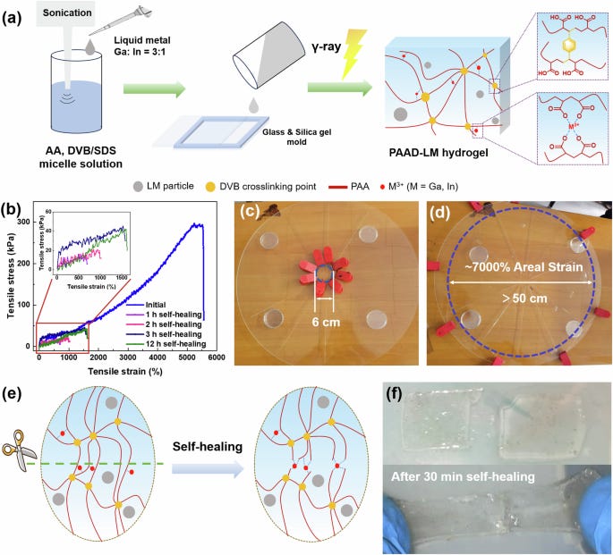 Stretchable Hydrogel Interfaces for Touch Interaction and Motion Sensing