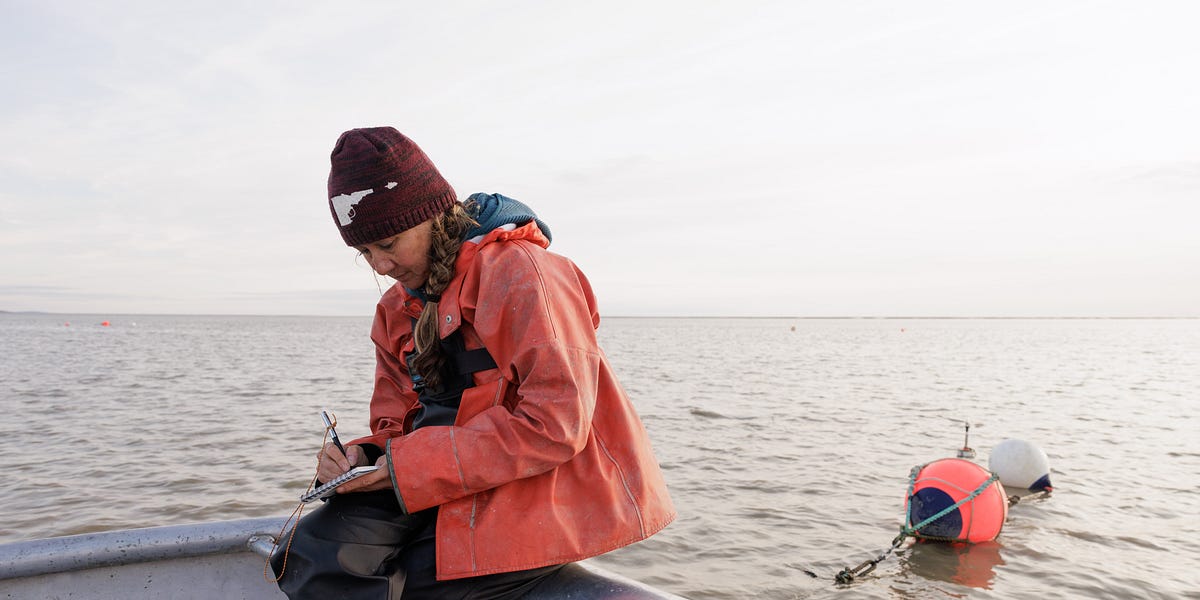 Welcome to The Waterproof Notebook - by Kim Cross