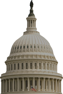 #40: CIVICS 101: The Legislative Branch - by Kelley Keller