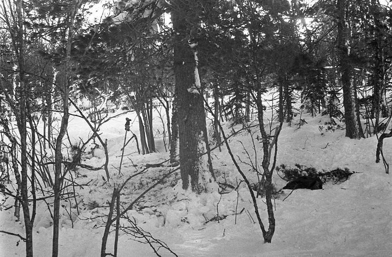 Slaughter in the Mountains: The Horrifying Tale of Dyatlov's Pass