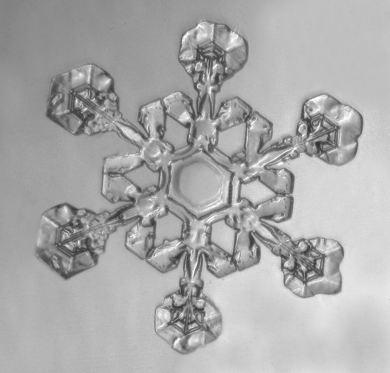 David W Runyan II (@davidwrunyanii): "where do we begin to describe ...