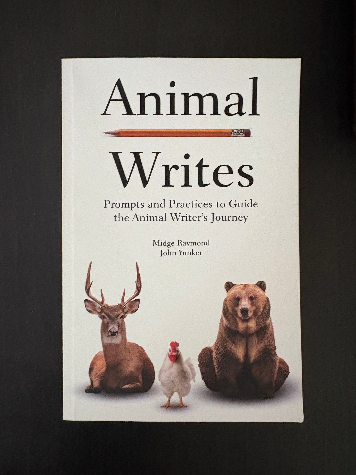 animals writing