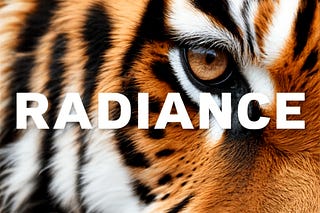 ComfyUI Blog | Robin | Substack