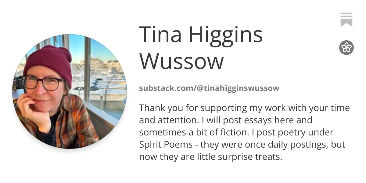 Tina Higgins Wussow | Substack