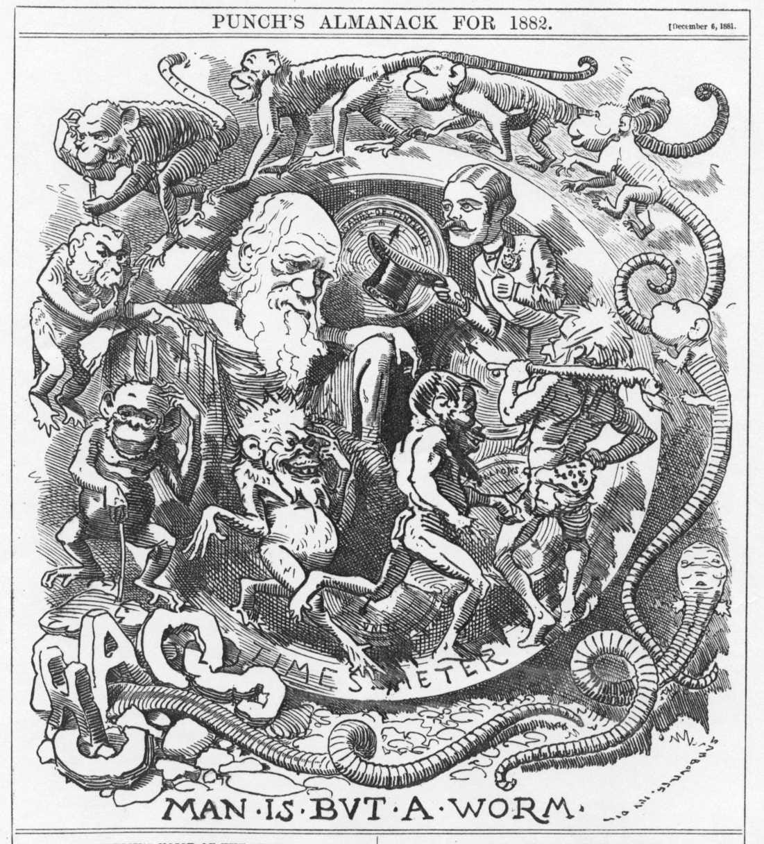 What It's Like To Be A Worm - Asimov Press
