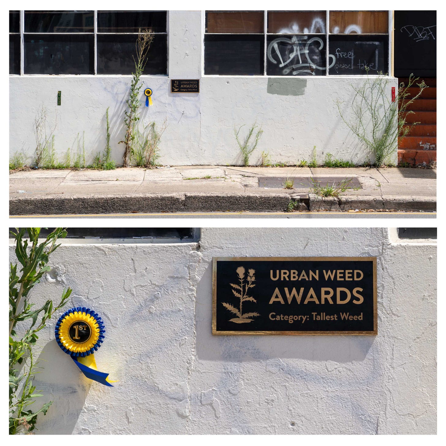 museum plaque examples