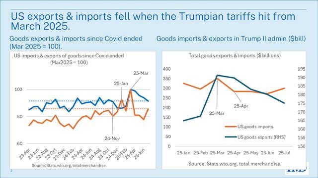 Why Did US Exports & Imports Fall after the Trumpian Tariffs were Imposed?