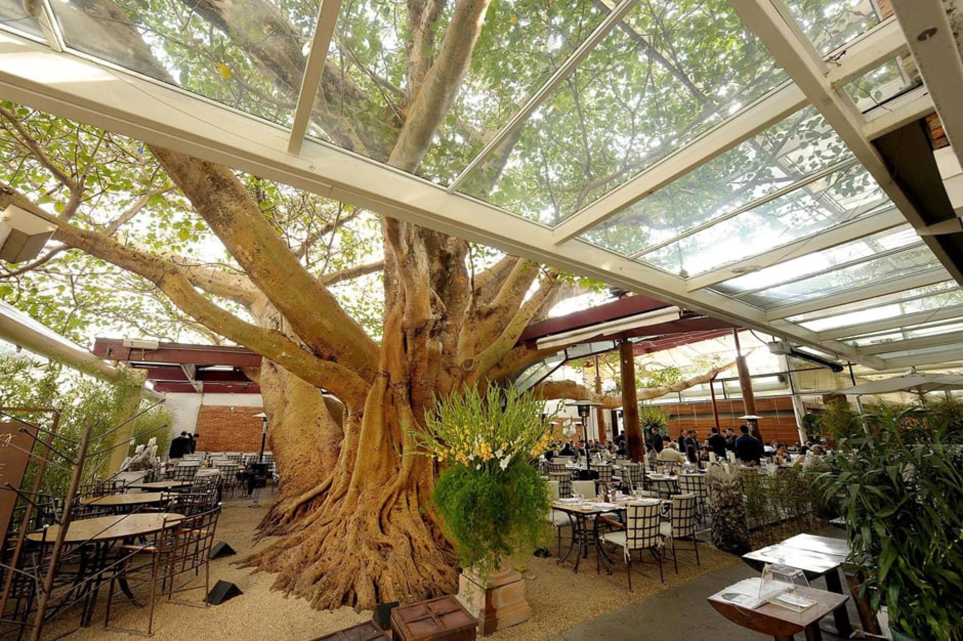 Churrasco! - by Julian Beach - Julian’s Substack