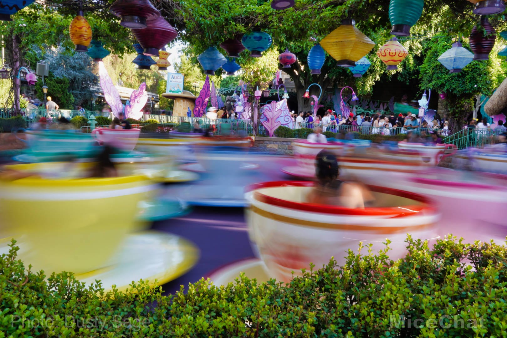 It’s a Blurry, Blurry World - Michael Buzzelli