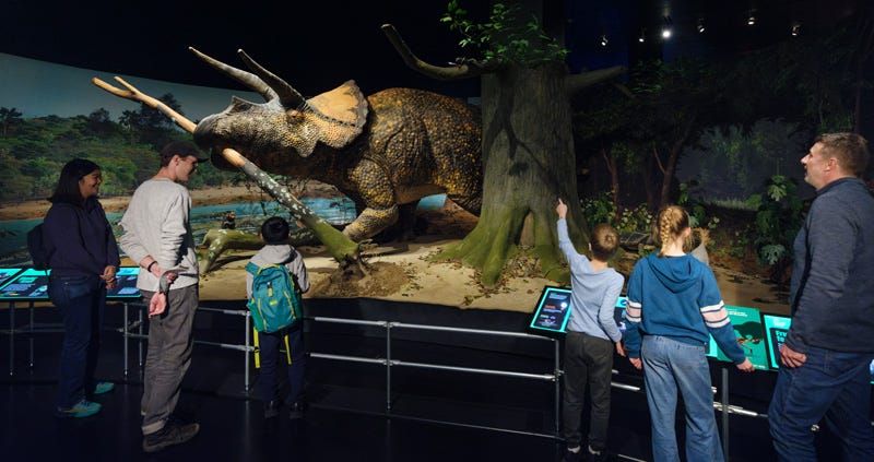 Upcoming at the American Museum of Natural History