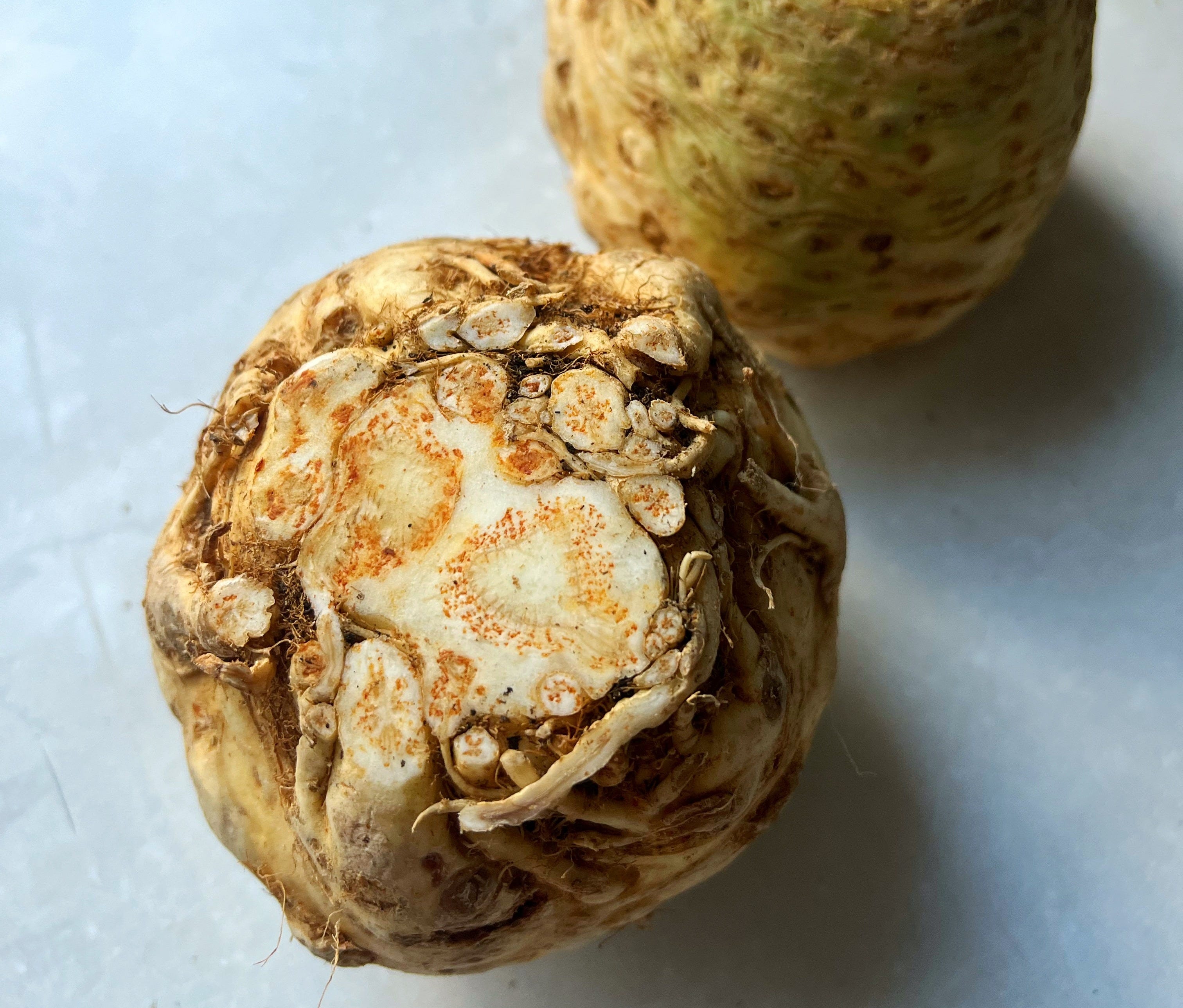 The Celeriac Special - by Beth Adamson