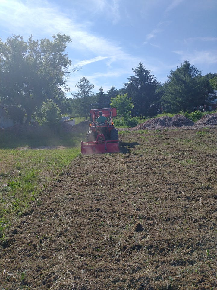 Start your no-till garden: the 3 techniques I wish I was taught when I ...