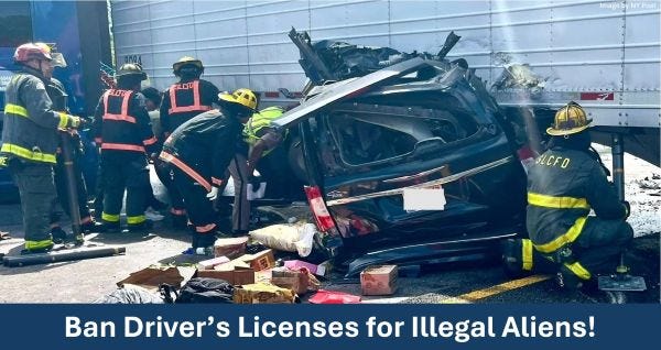 Comments - Ban Drivers Licenses for Illegal Aliens