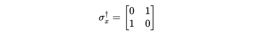 A Deep Dive Into The Mathematics Of Pauli Matrices