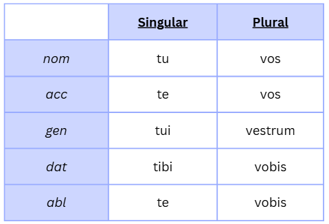Pronouns in Latin - by Ellen - bambasbat