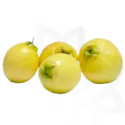 The Amazing Health Benefits of Paneer Fruit: A Nutritional Powerhouse