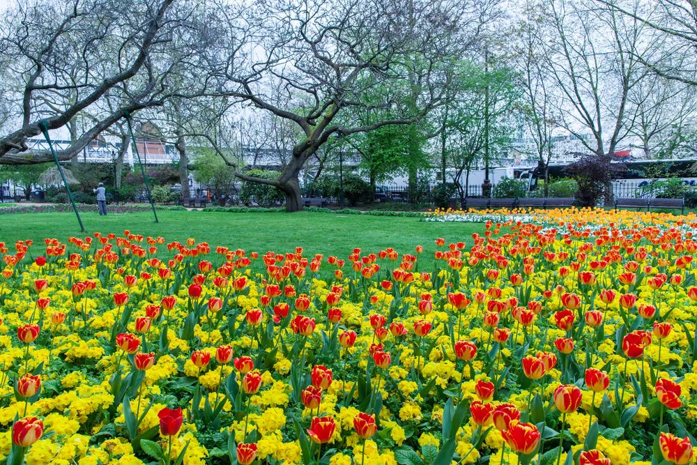 Top 10 Places to Visit in Hackney - by Narrative Nomad