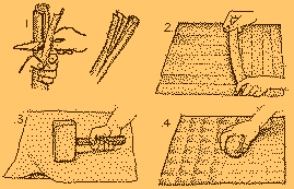 Western Papyrus Paper: From Seed to Paper