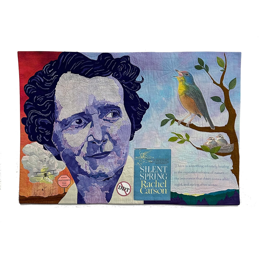 The Day I Became a Quilt - Trackless Wild with Janisse Ray