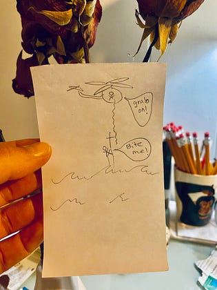 Denise Napoli Long | Substack