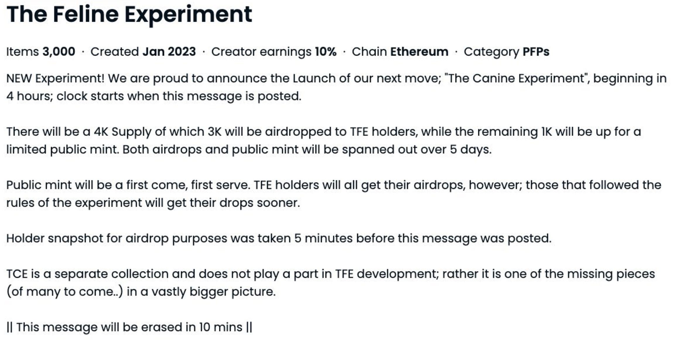 [Dive #171] Rolling Loud's Bet with LoudPunx