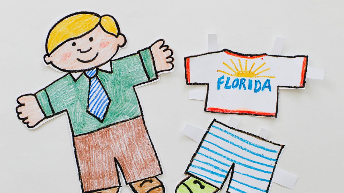 flat stanley project instructions