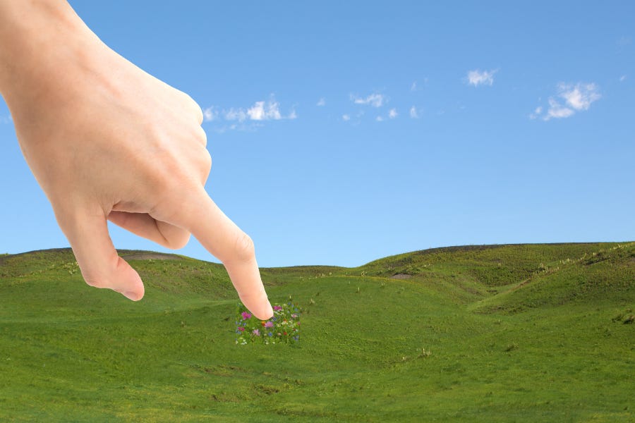 Touching Grass & Avoiding Brain-Rot (As A Creator Who's Paid To Be ...