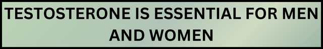 The Essential Roles of Testosterone: Understanding Its Importance for ...