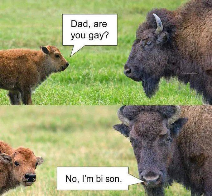 Midweek Meme Infusion 2 - Gallows Humor Magazine
