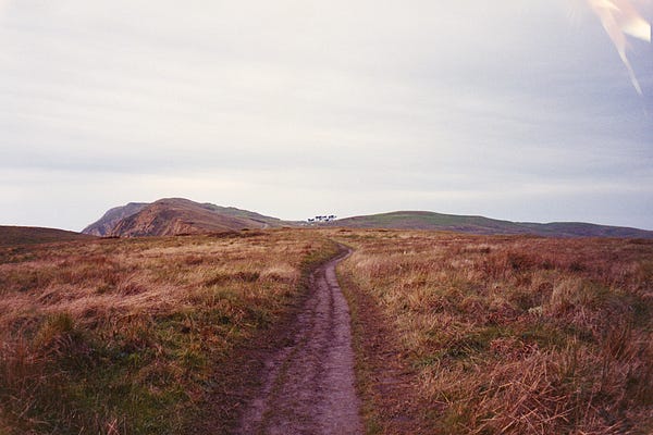 Human Stuff | Lisa Olivera | Substack