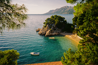 Archive - The Substack Post