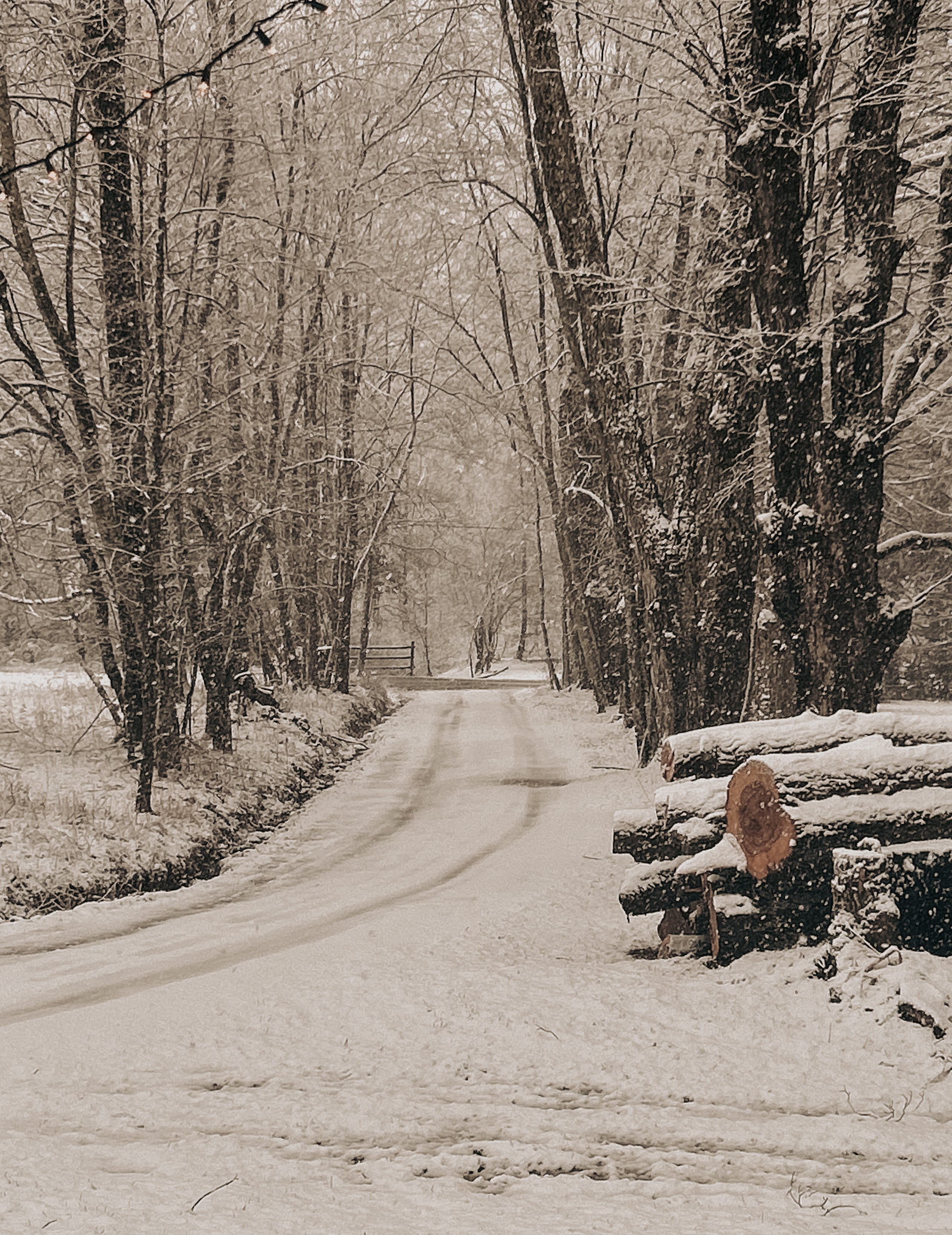 Christmas Carol Has Become White Noise - by Dani Snyder