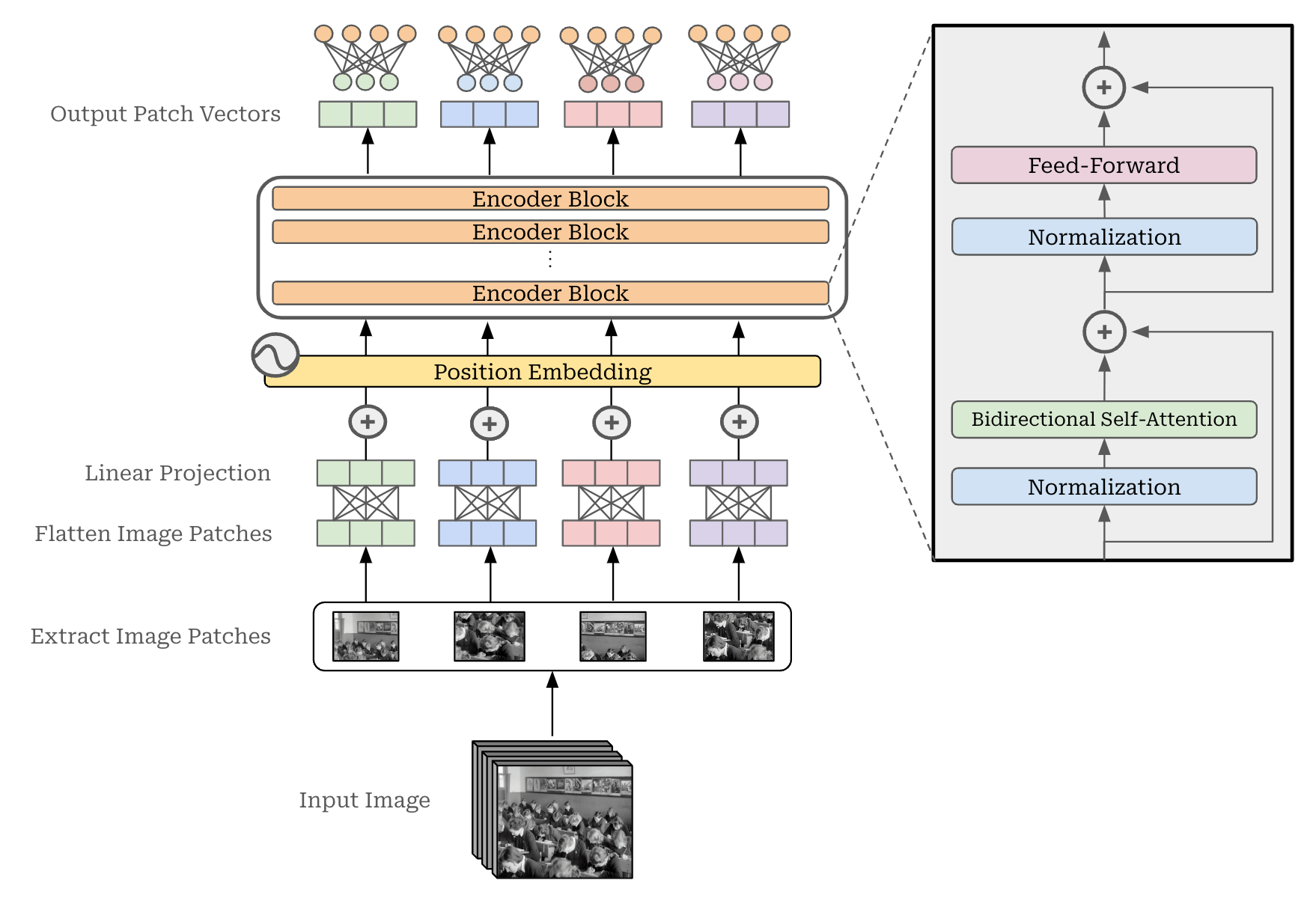 Vision Large Language Models (vLLMs)