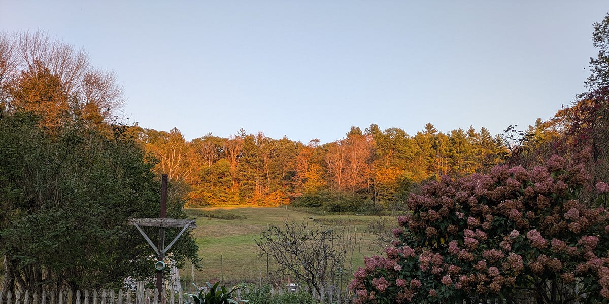 What Will it Take to Make You Happy? - Rachel’s Substack