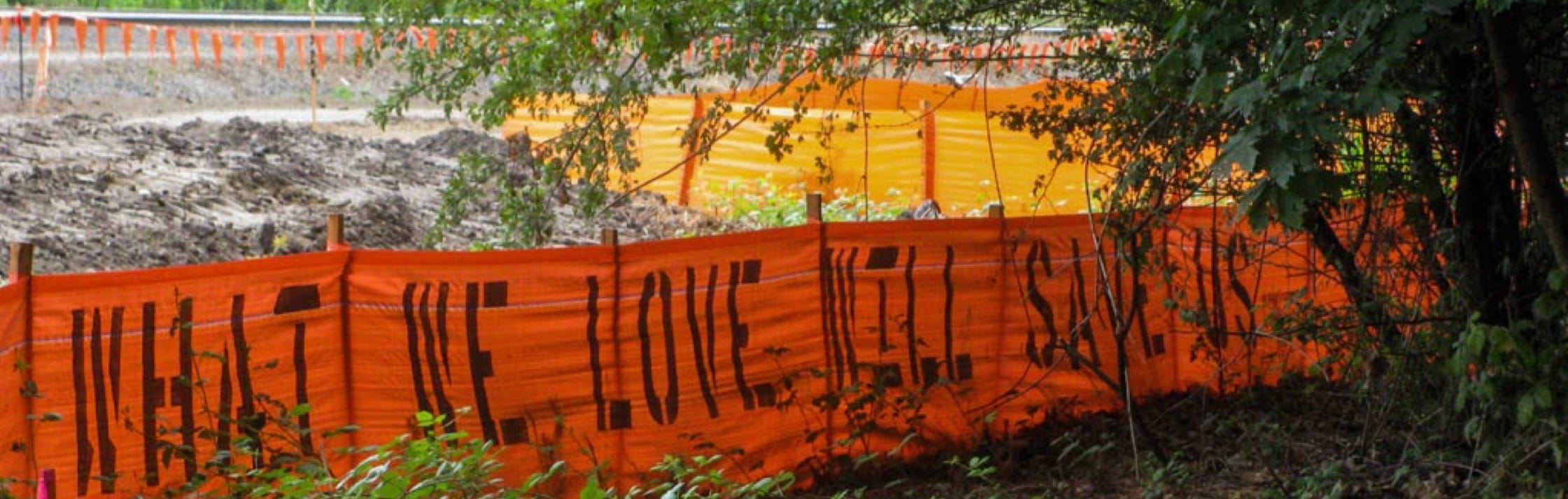 What we love will save us - by Jen Graves - Still looking