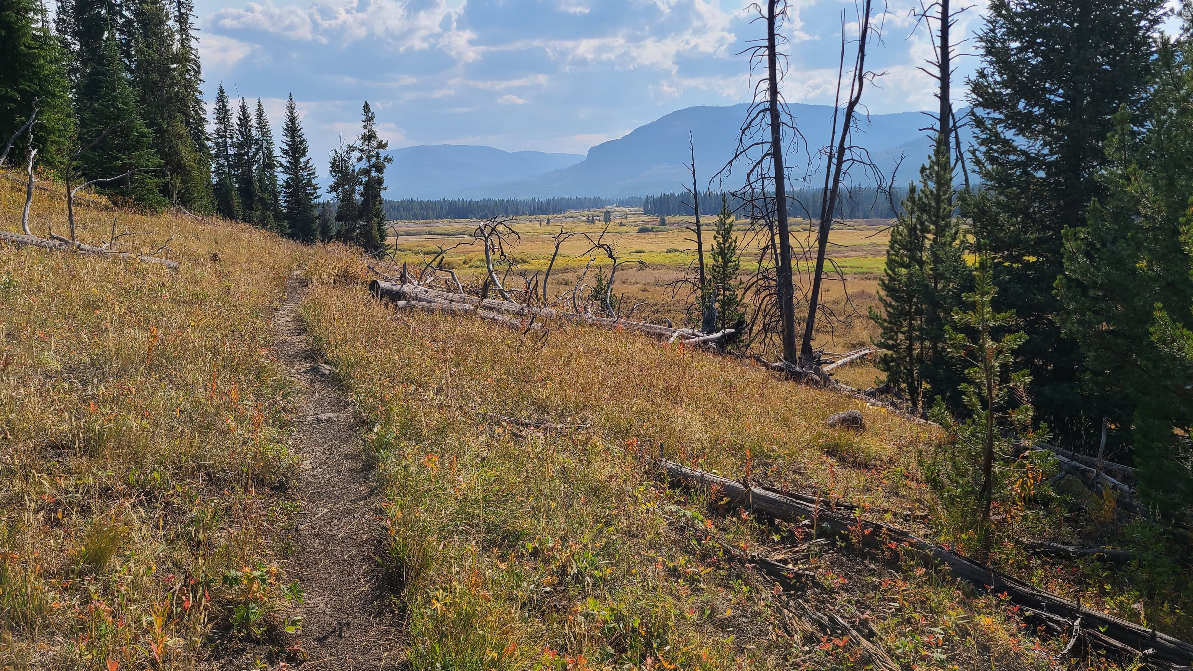 The Thorofare -- Yellowstone National Park, September 2024 (part 7)
