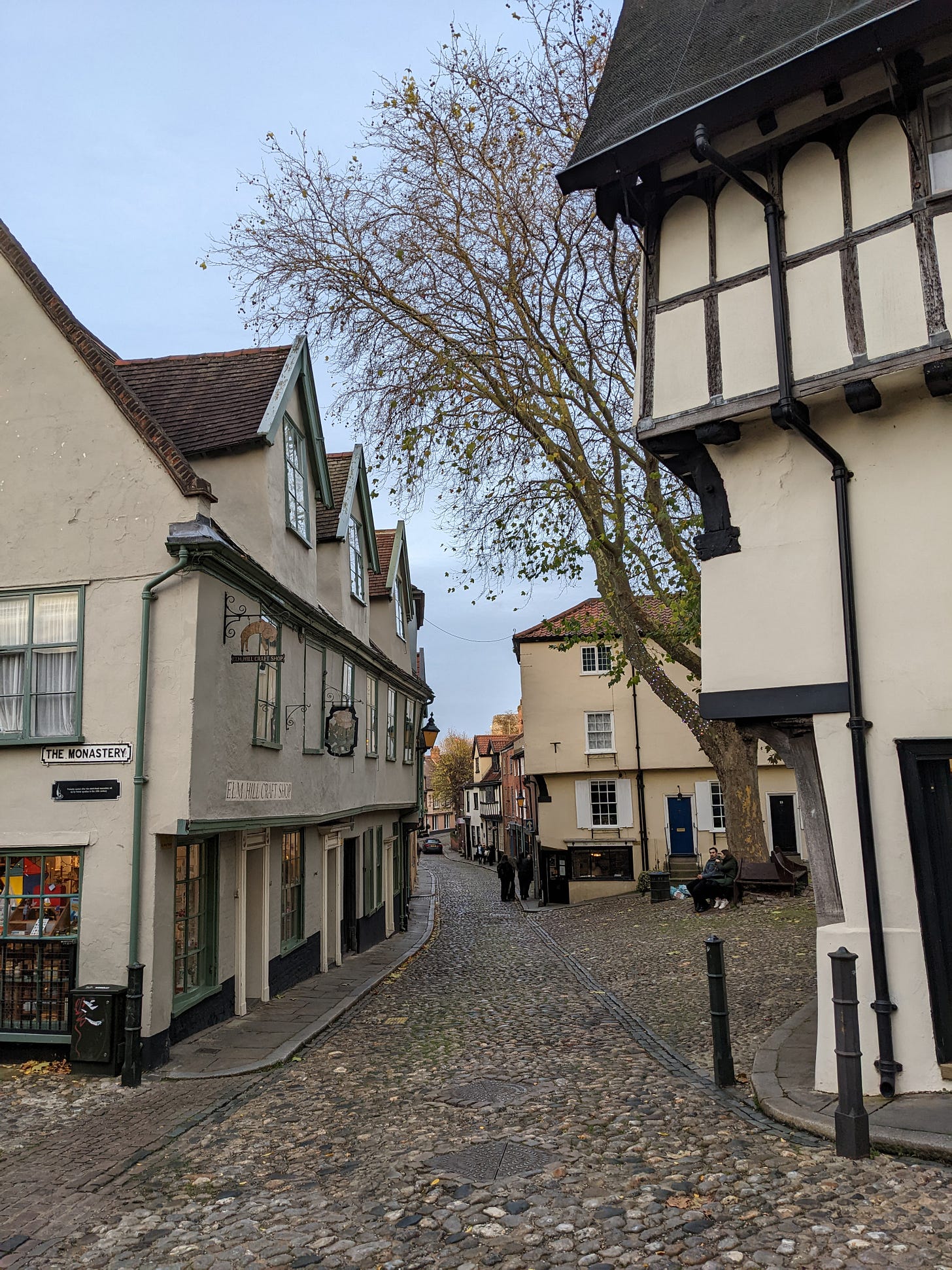 Of Worms and Epitaphs: W.G. Sebald - by Stephen Thomas