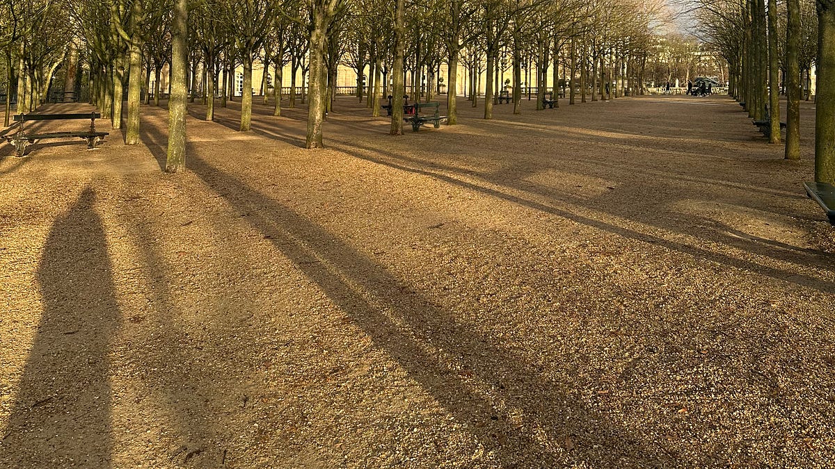 On Losing the Ability to Look Away - by Pamela Clapp