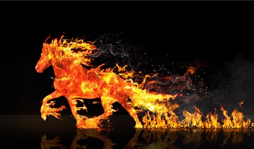 Year of the Yang Fire 丙 Horse 午 2026 - by Samuel Dudgeon