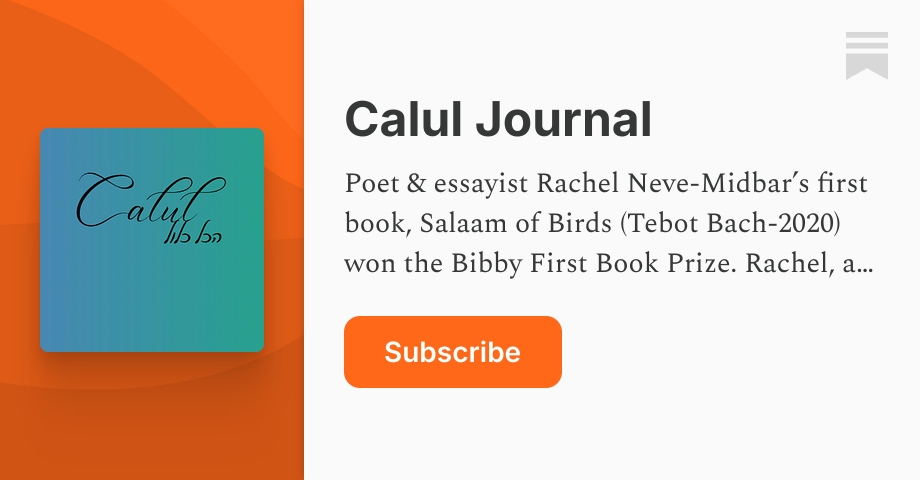 Calul Journal | Substack