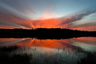 The Belfast Drop | Substack